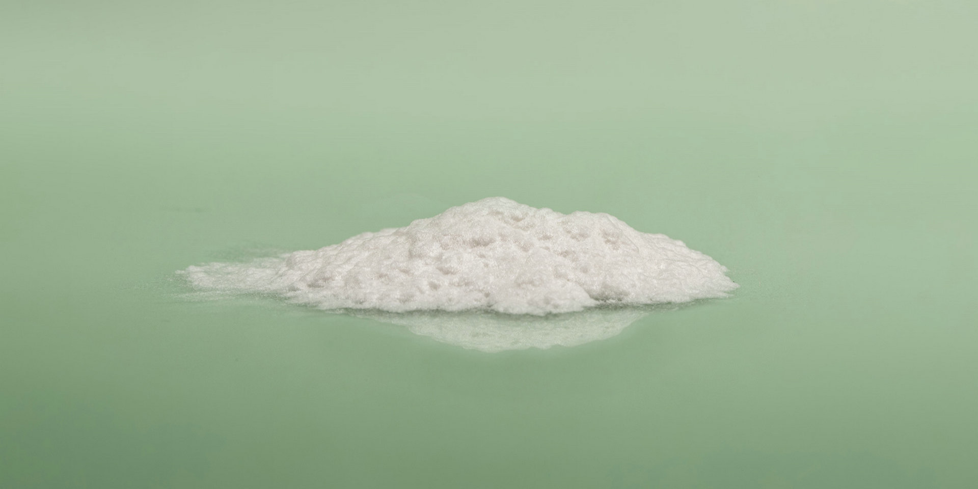 Sponge Spicules | Hydrolyzed Sponge | Spicule Powder | Spongilla ...